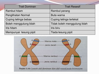 Bab 5 : Genetik (Sains KSSM Ting. 4) | PPTX