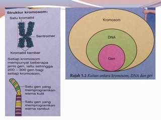 Bab 5 : Genetik (Sains KSSM Ting. 4) | PPTX