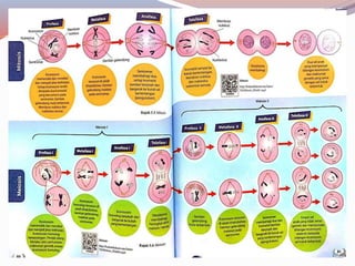 Bab 5 : Genetik (Sains KSSM Ting. 4) | PPTX