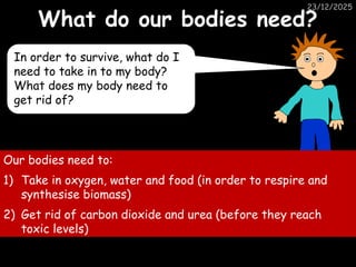B5 The Human Body (1).pptx 21st century. | PPTX