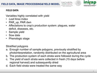 Crops yield estimation through remote sensing | PPTX