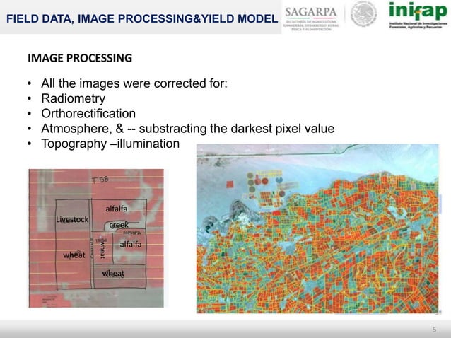 Crops yield estimation through remote sensing | PPTX | Agriculture ...