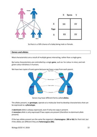 b6-inheritance-notes-biology-triple.pdf | Infertility | Reproductive Health