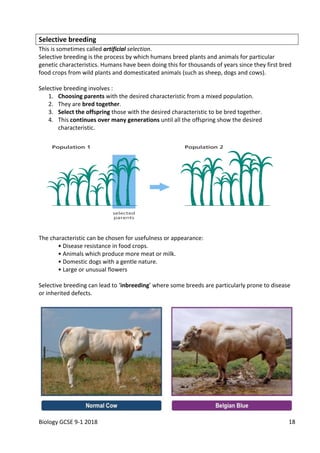 b6-inheritance-notes-biology-triple.pdf | Infertility | Reproductive Health