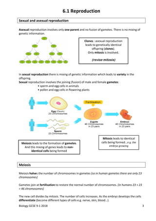 b6-inheritance-notes-biology-triple.pdf | Infertility | Reproductive Health