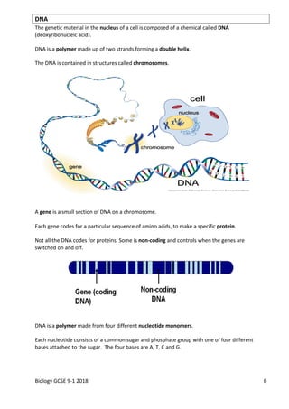 b6-inheritance-notes-biology-triple.pdf