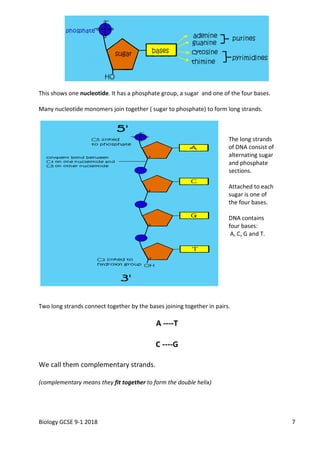 b6-inheritance-notes-biology-triple.pdf