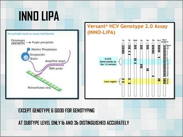 Multiplex PCR for HCV genotyping