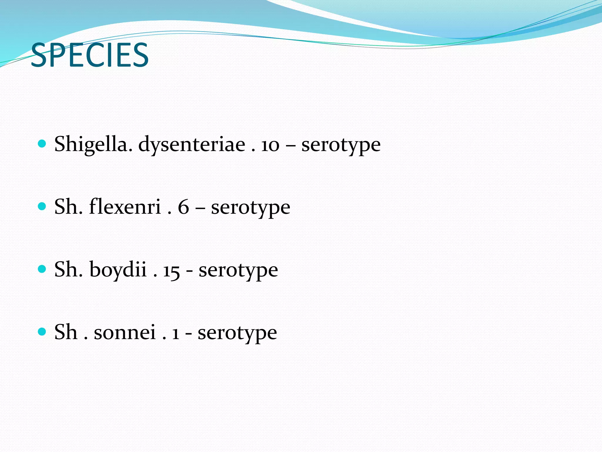 Shigella spp. | PPTX