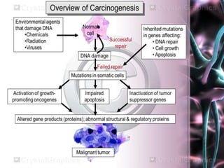 Cancer biochemistry | PPTX