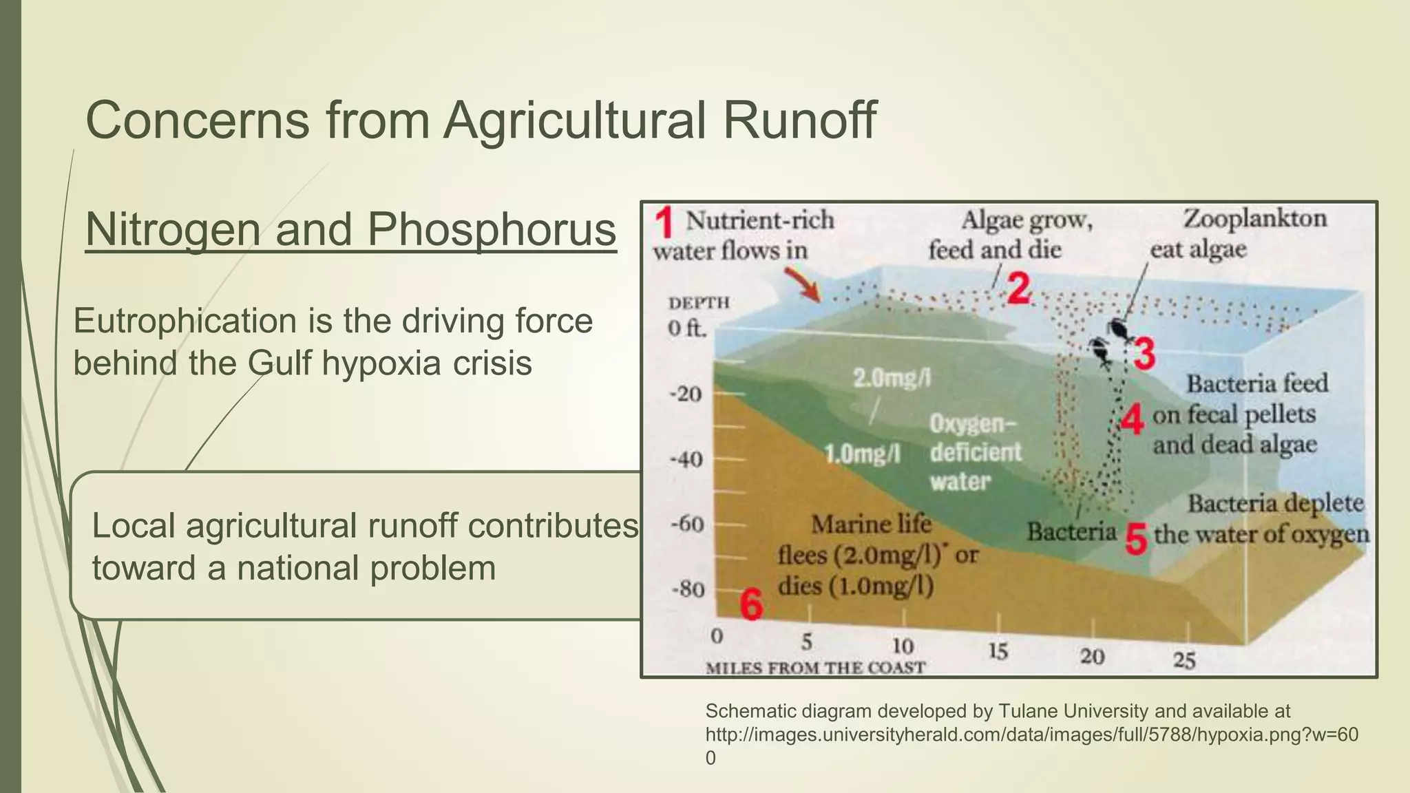 Agricultural Runoff | PPTX