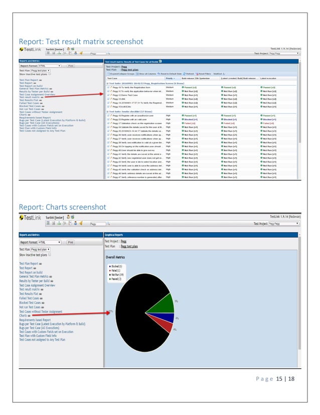 Testlink_Version 0.3 | PDF | Computer Software and Applications | Computing