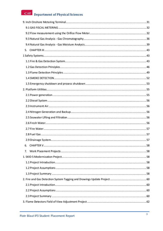 PIOTR BLAUT Student Placement Report | PDF