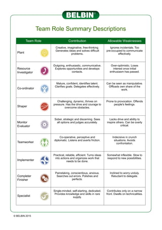 Fraser Calderwood Belbin report | PDF