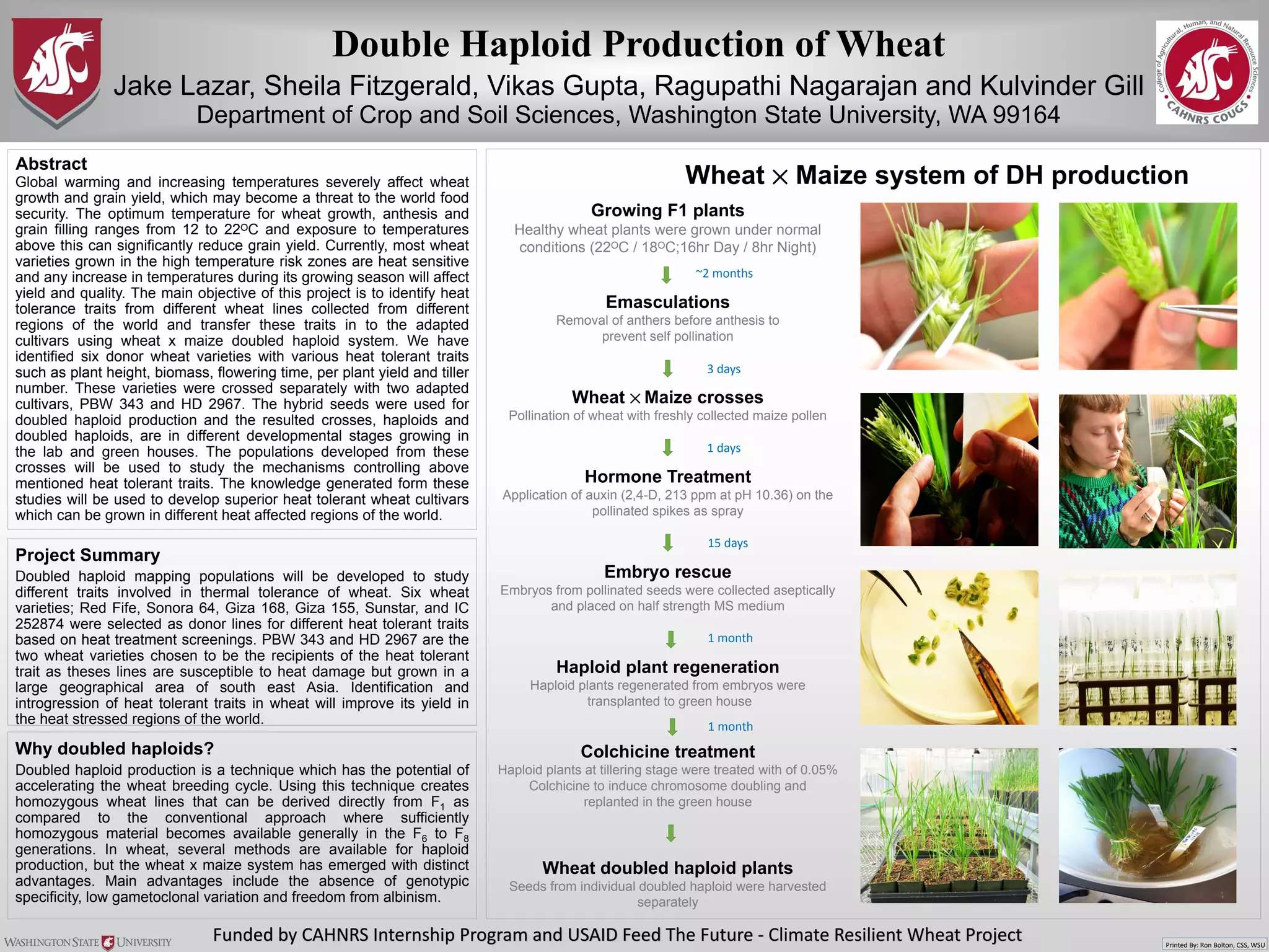 SURCA(FINAL)POSTER | PPTX