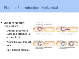 BEACON presentation | PPT