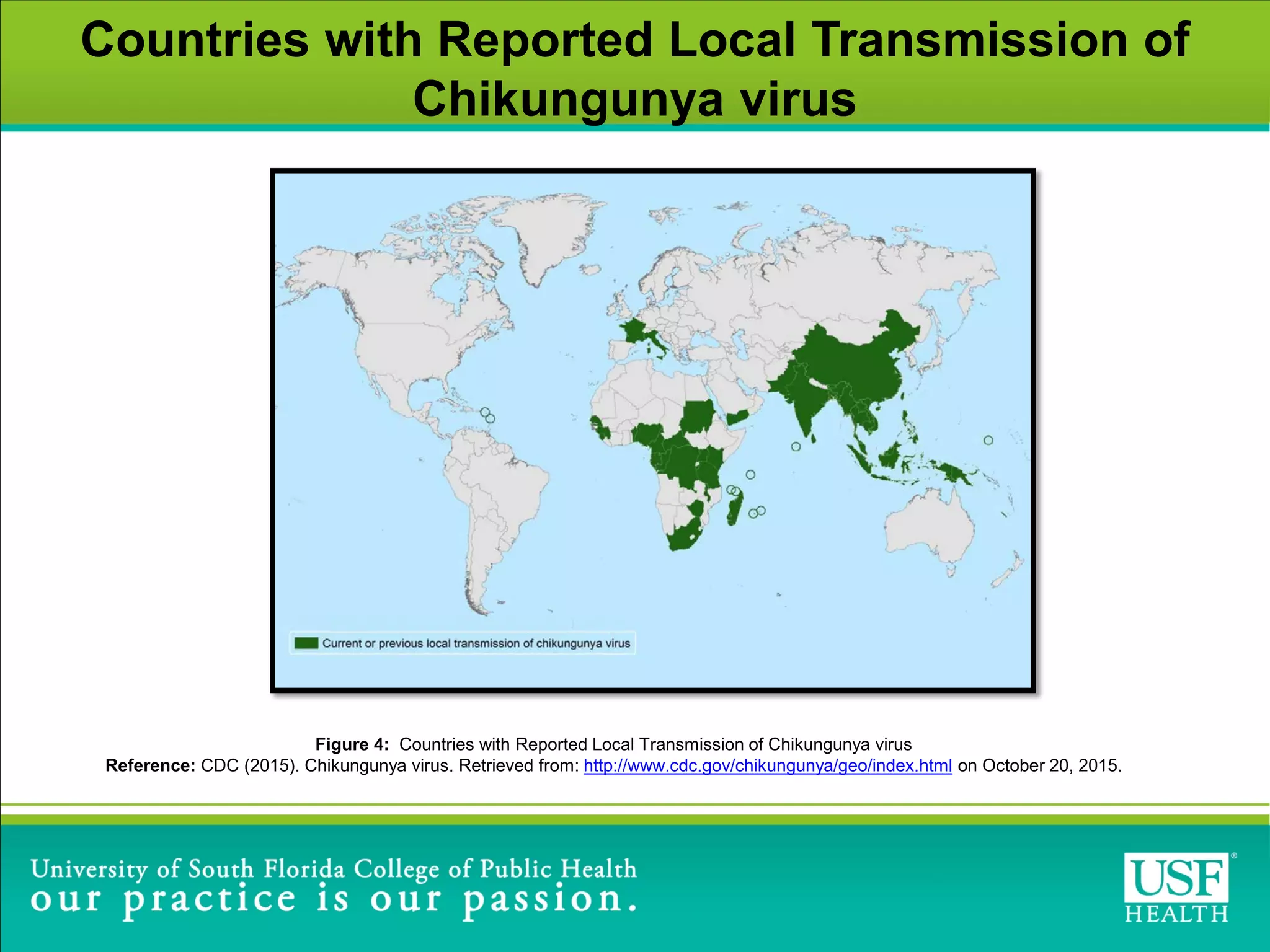 Chikungunya PPT_RP | PDF