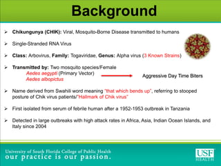 Chikungunya PPT_RP | PDF