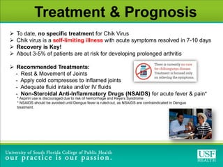 Chikungunya PPT_RP | PDF