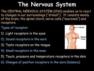 B6 Brain And Mind | PPT