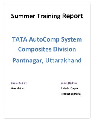 Summer Training Report - Gaurab Pant(1) | DOCX