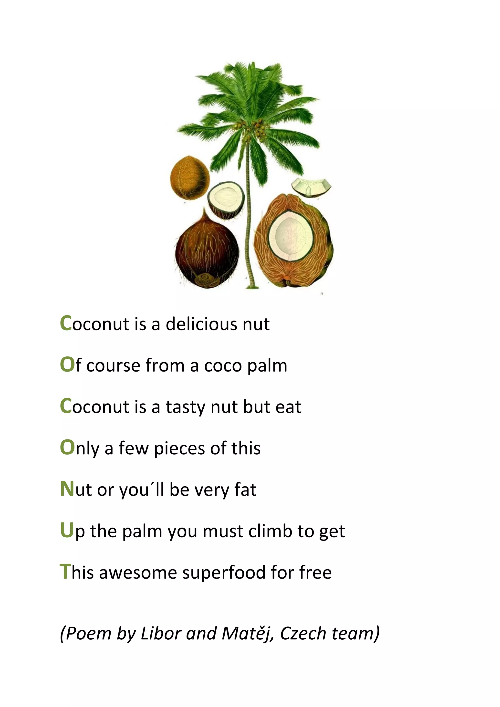 Acrostic poems about Superfoods from the Czech team | PDF