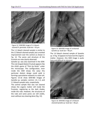FINAL REPORT - Functionalizing Diatoms with TiO2 for Solar Cell ...