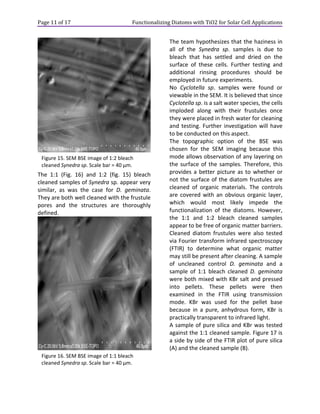 FINAL REPORT - Functionalizing Diatoms with TiO2 for Solar Cell ...