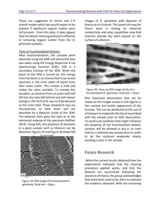 FINAL REPORT - Functionalizing Diatoms with TiO2 for Solar Cell ...