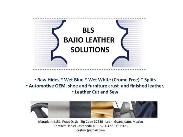 BLS presentation China | PPT