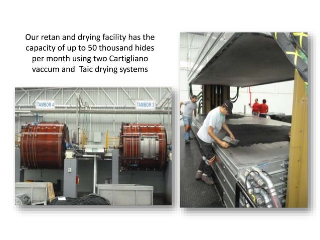 BLS presentation China | PPT