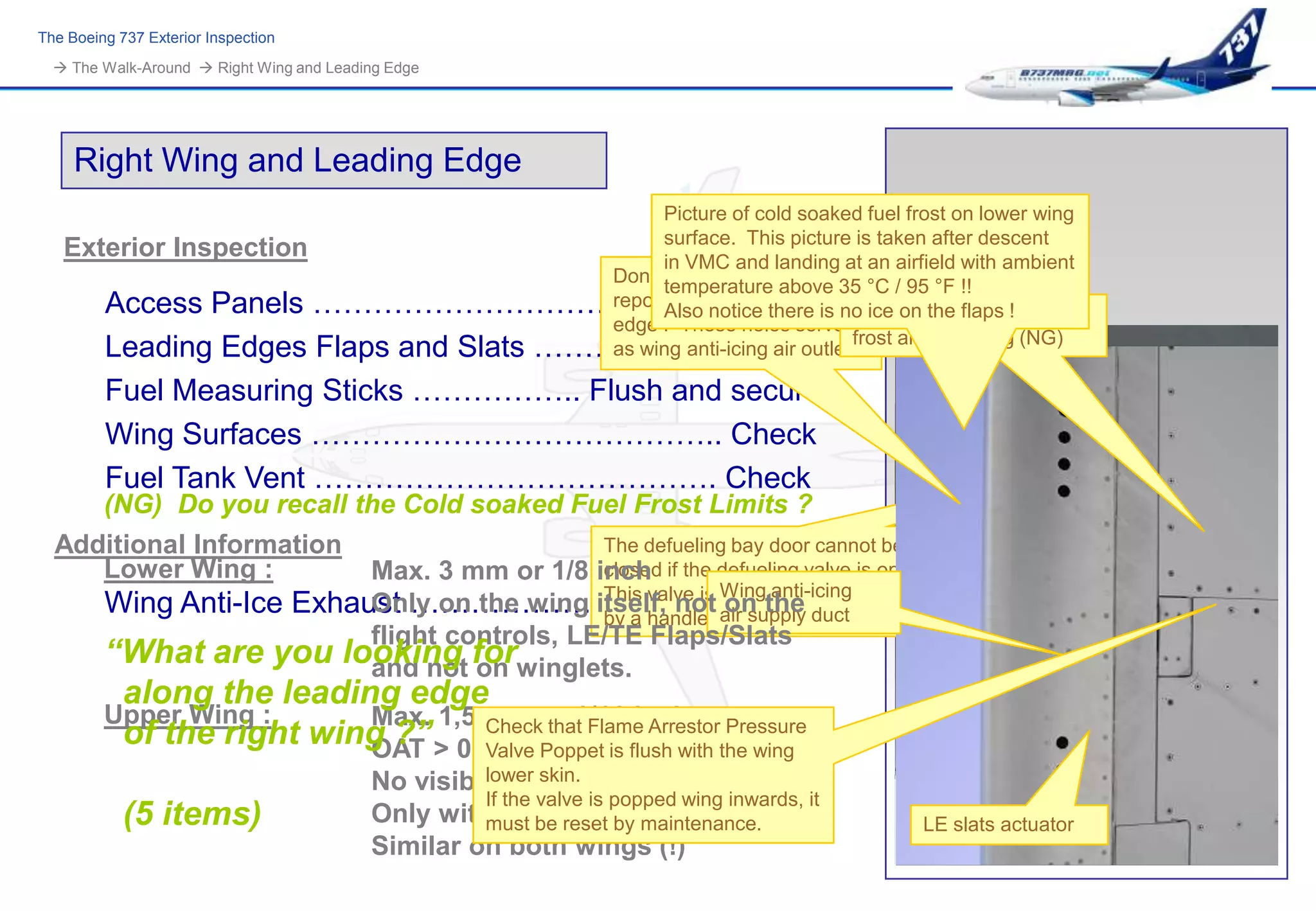B737mrg exterior inspection | PPS