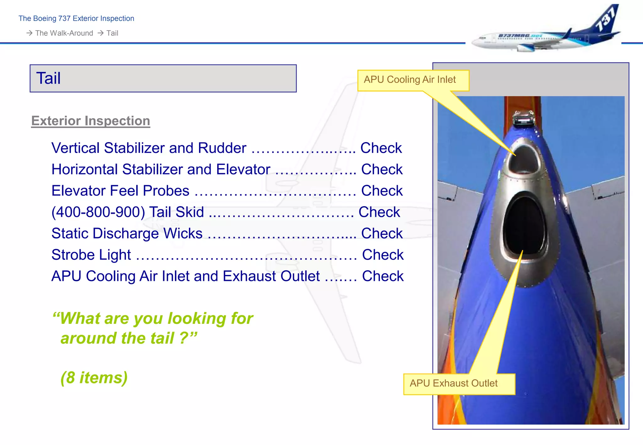 B737mrg exterior inspection | PPS