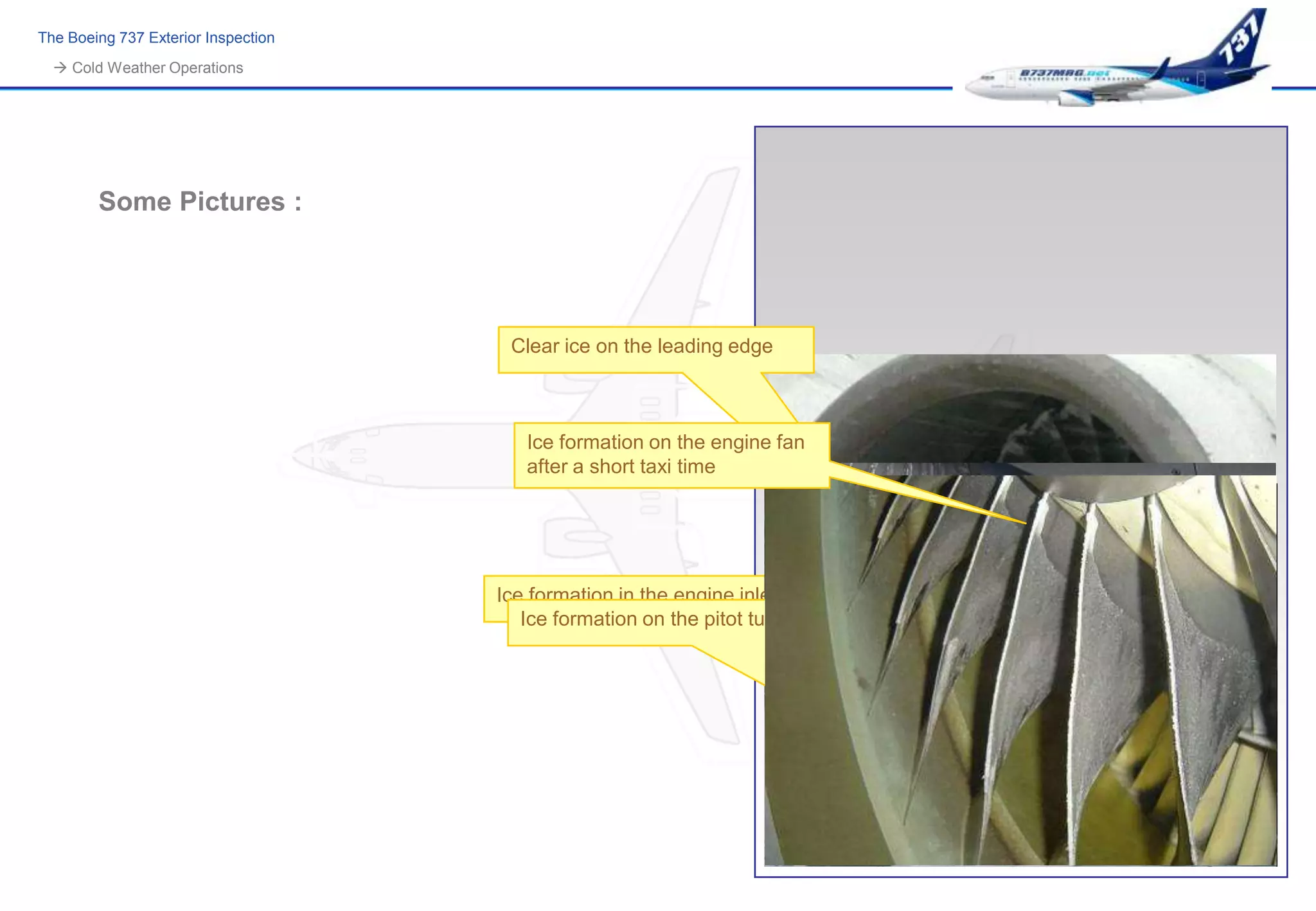 B737mrg exterior inspection | PPS