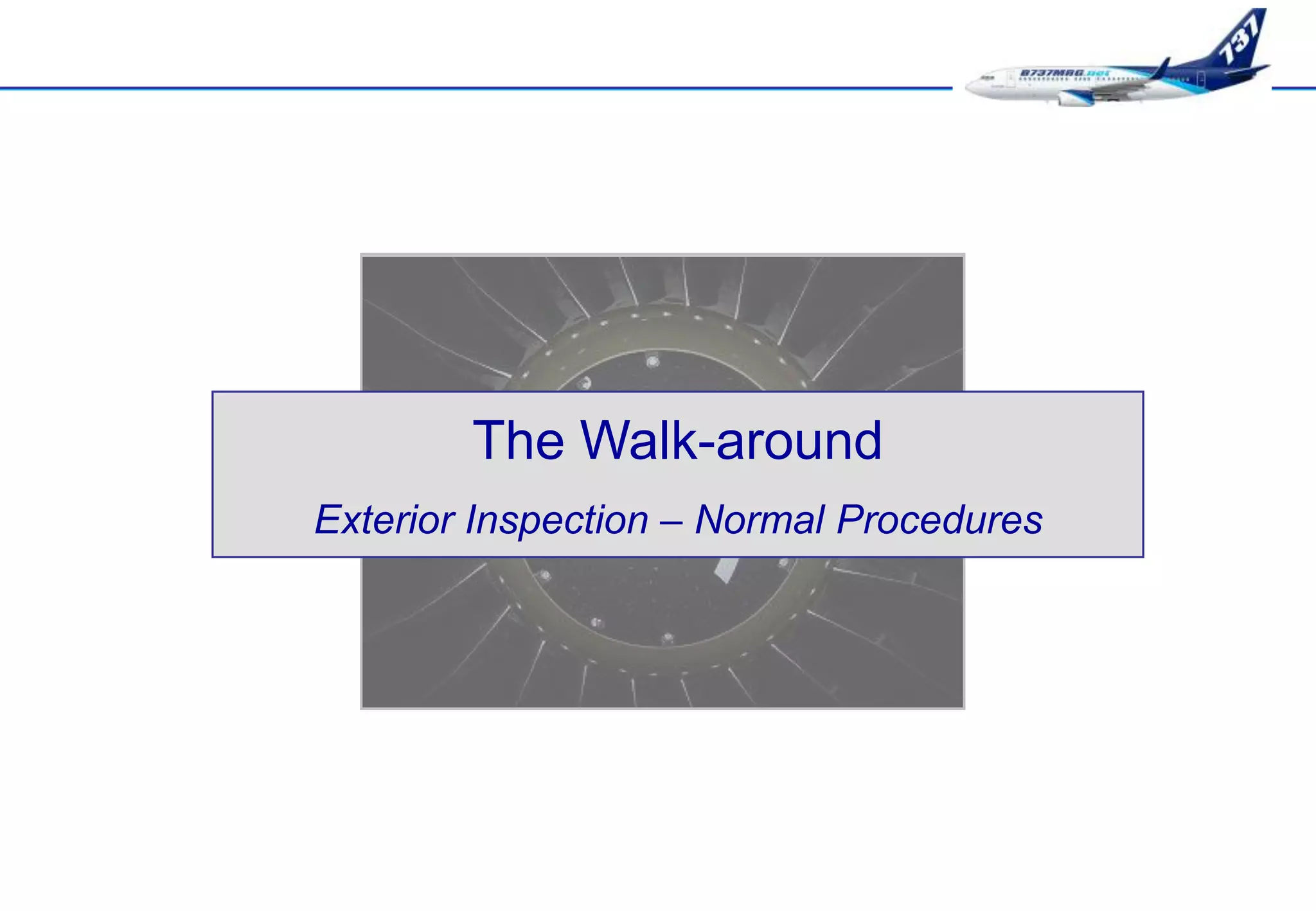 B737mrg exterior inspection | PPS
