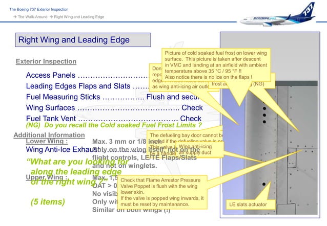 B737mrg exterior inspection | PPS | Auto Safety | Automotive