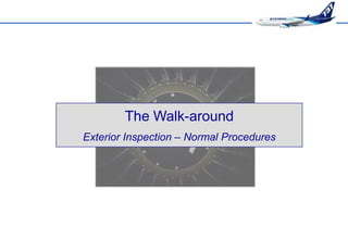 B737mrg exterior inspection | PPS