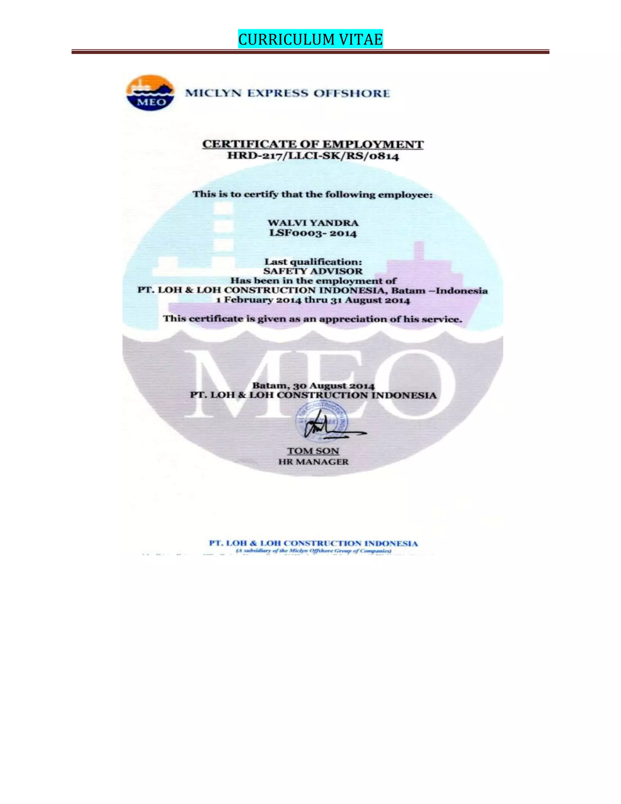 CV HSE Walvi yandra 2015 | PDF