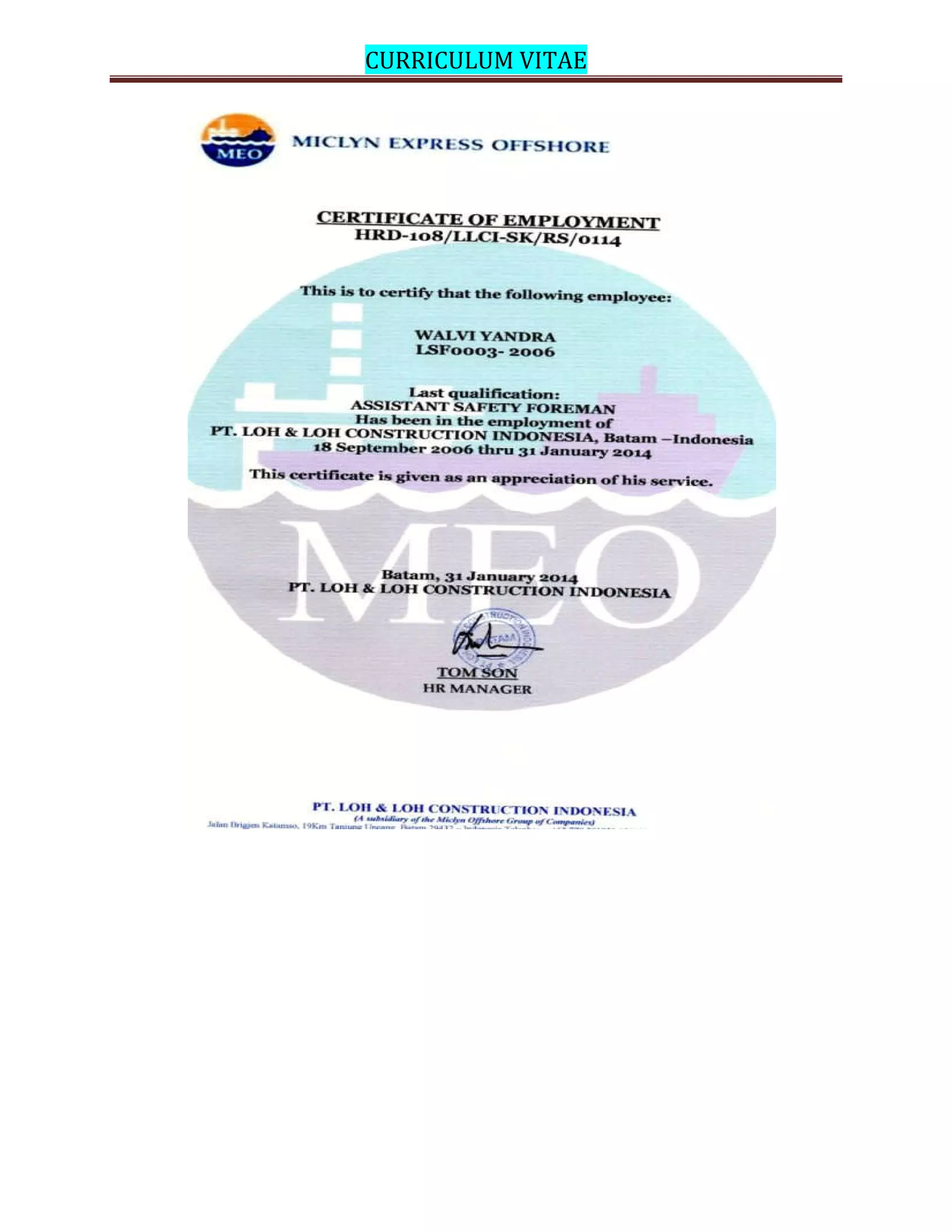 CV HSE Walvi yandra 2015 | PDF