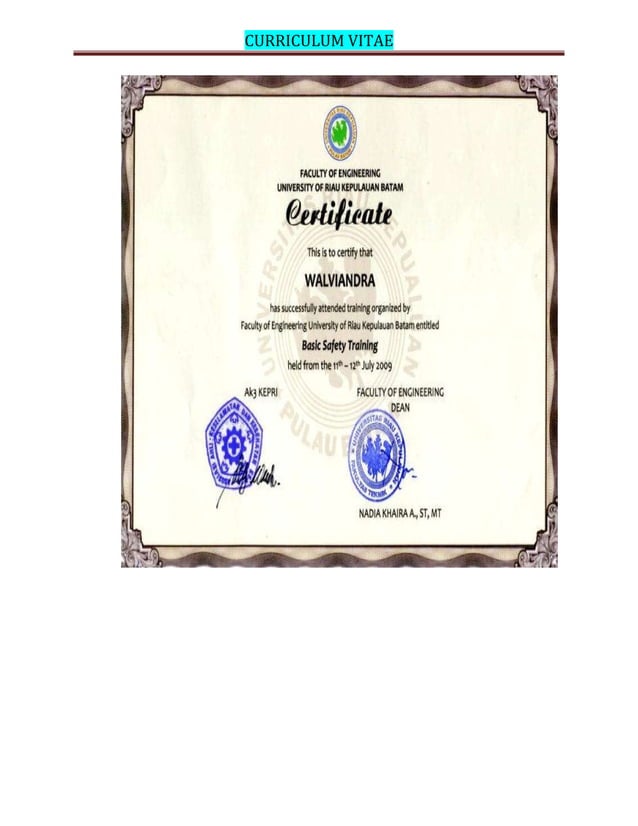 CV HSE Walvi yandra 2015 | PDF