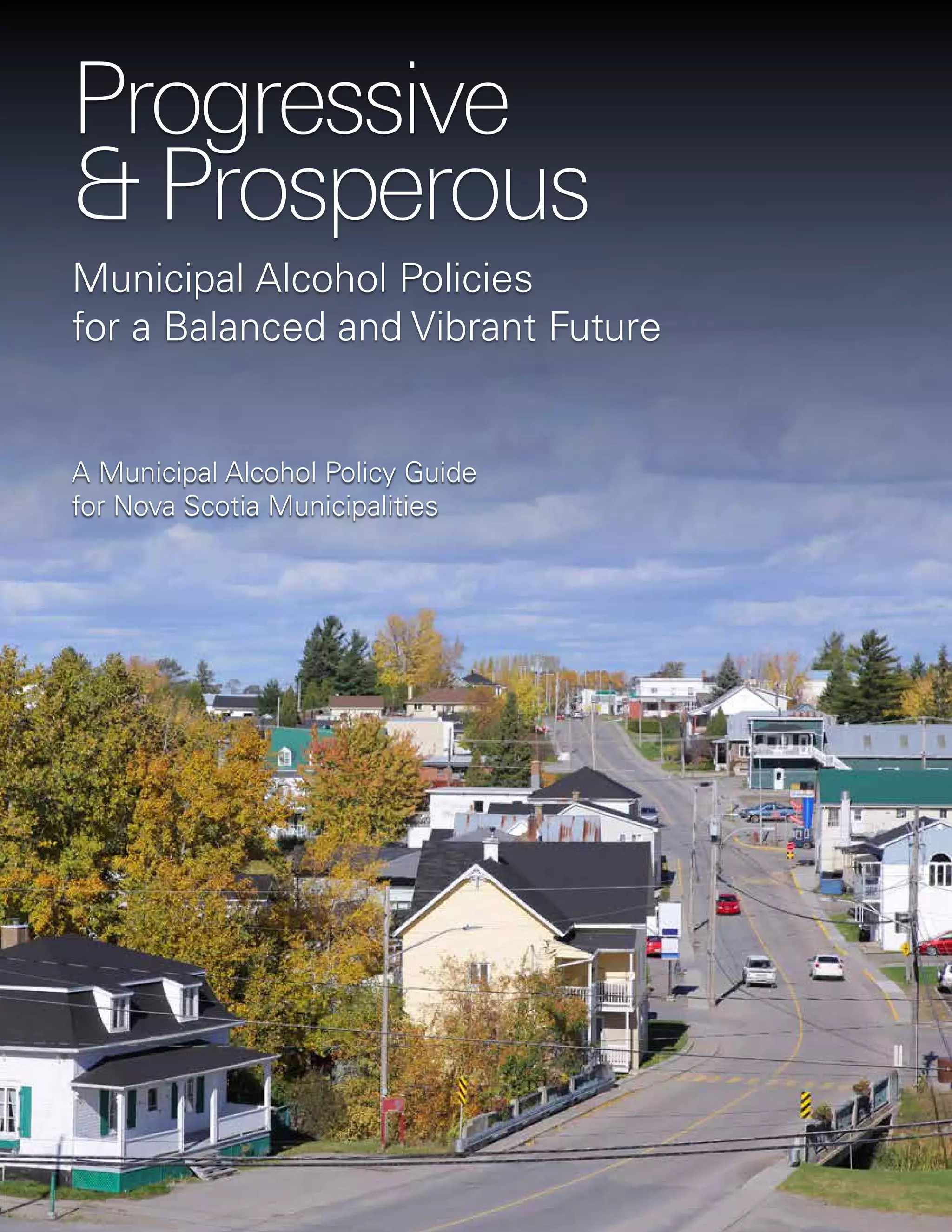 Municipal Alcohol Policy Guide--September 2015 | PDF