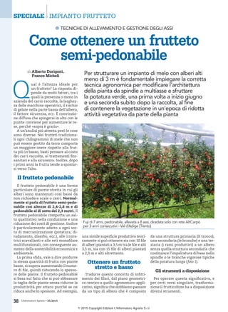 articolo per Informatore Agrario su frutteto semipedonabile | PDF