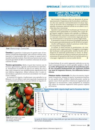 articolo per Informatore Agrario su frutteto semipedonabile | PDF