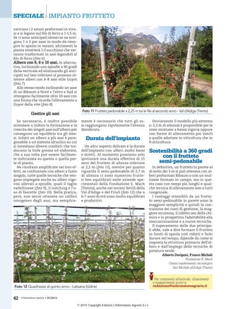 articolo per Informatore Agrario su frutteto semipedonabile | PDF