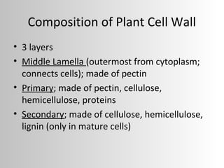 Plant Cell Wall Mod | PPT