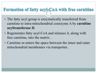 transport of fatty acids | PPTX