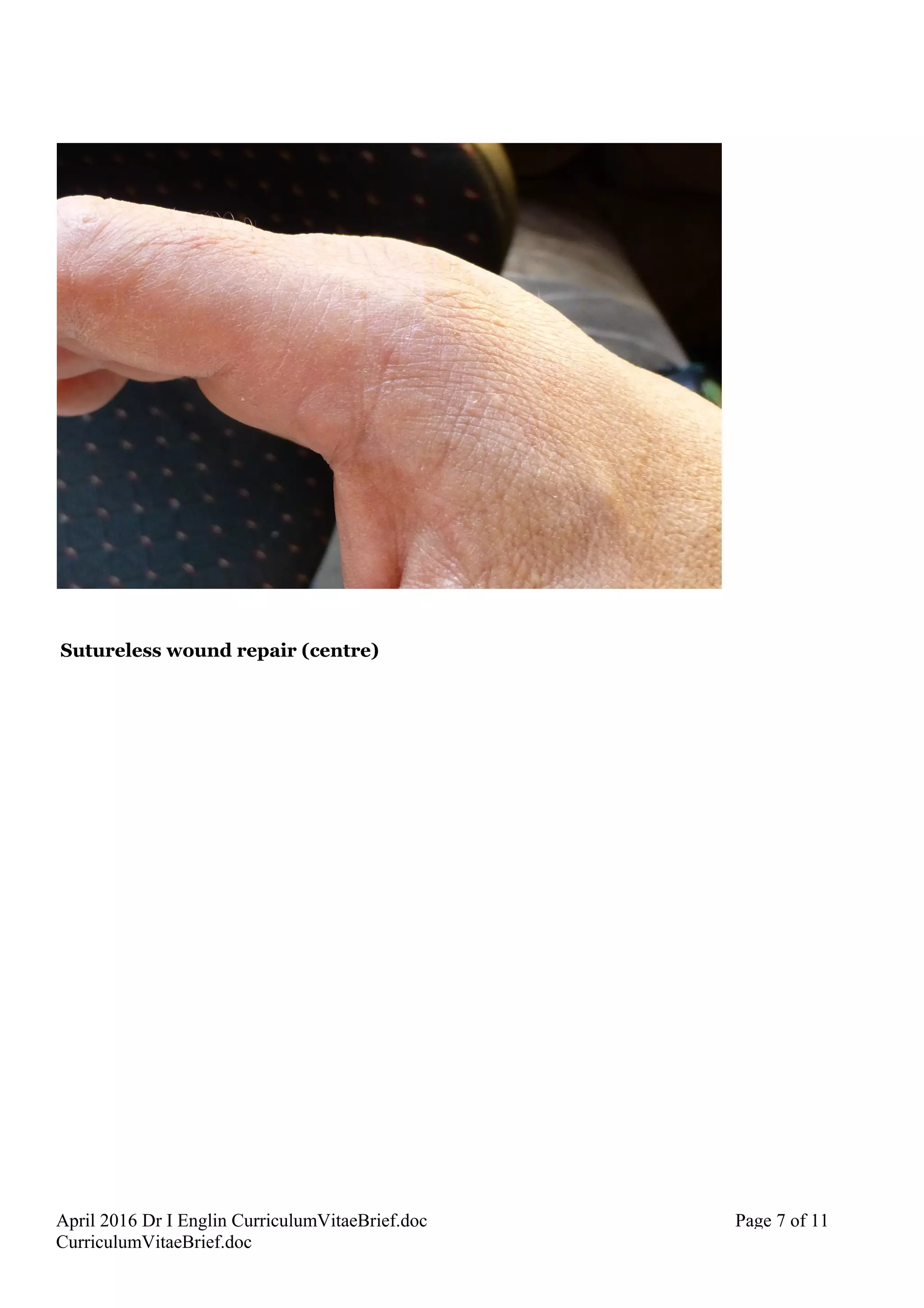 CurriculumVitaeBrief | PDF