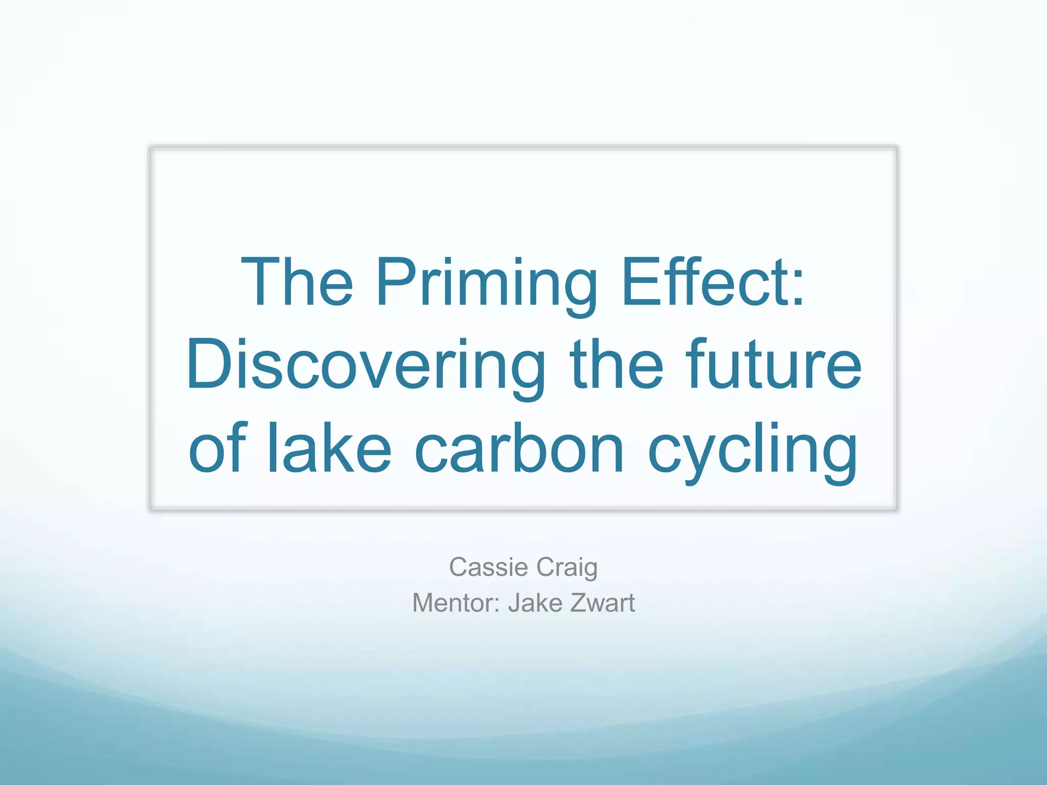 Priming Effect Presentation | PPT