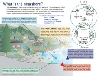 NSEA FINAL SalmonInTheNearshore brochure | PPT