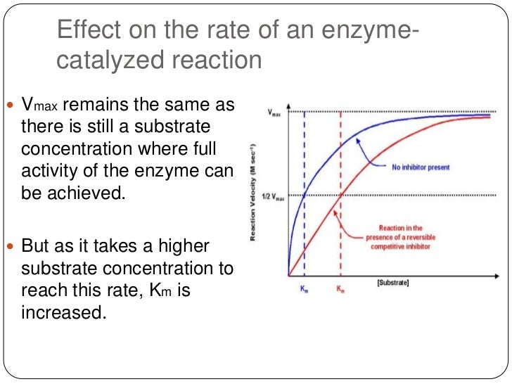 B7 Biochem Presentation